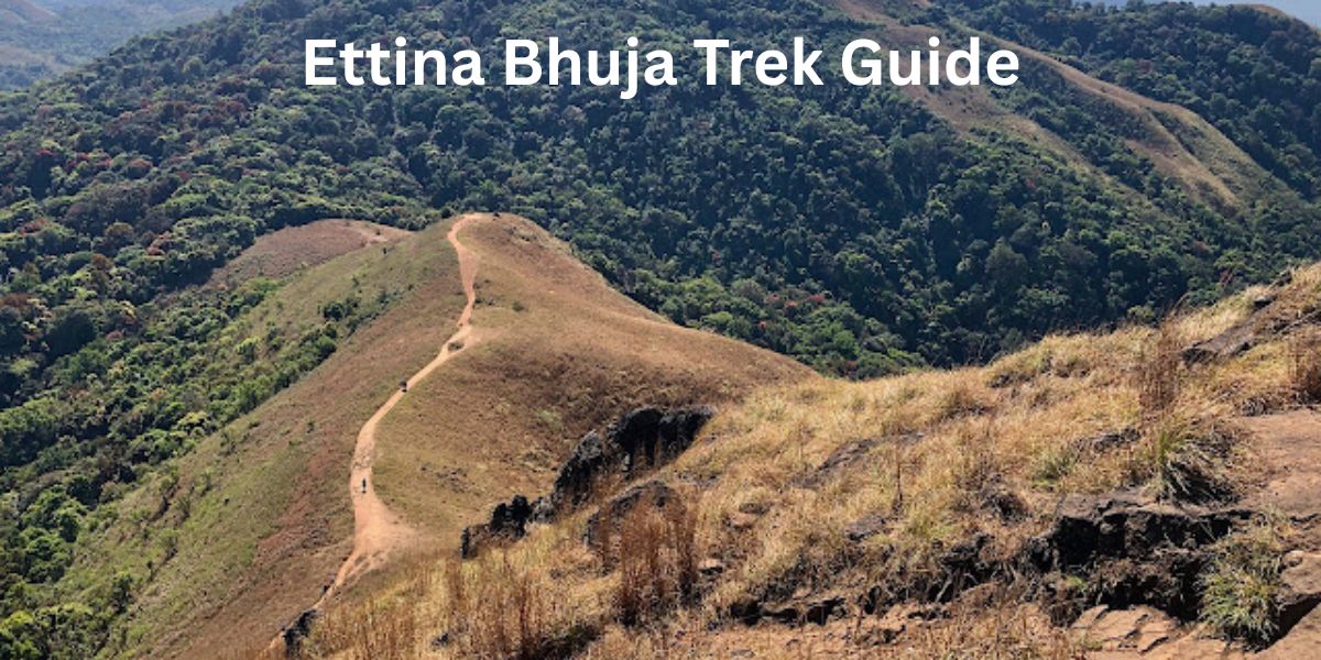 5 Key Things to Know Before Trekking Ettina Bhuja – Ultimate Guide