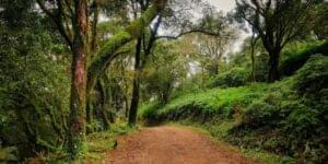 The Untold Stories of Rani Jhari - Chikmagalur